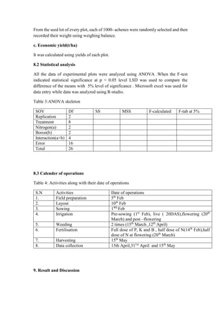 Sunflower_Report_(Rbn).docx