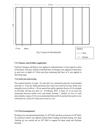 Sunflower_Report_(Rbn).docx