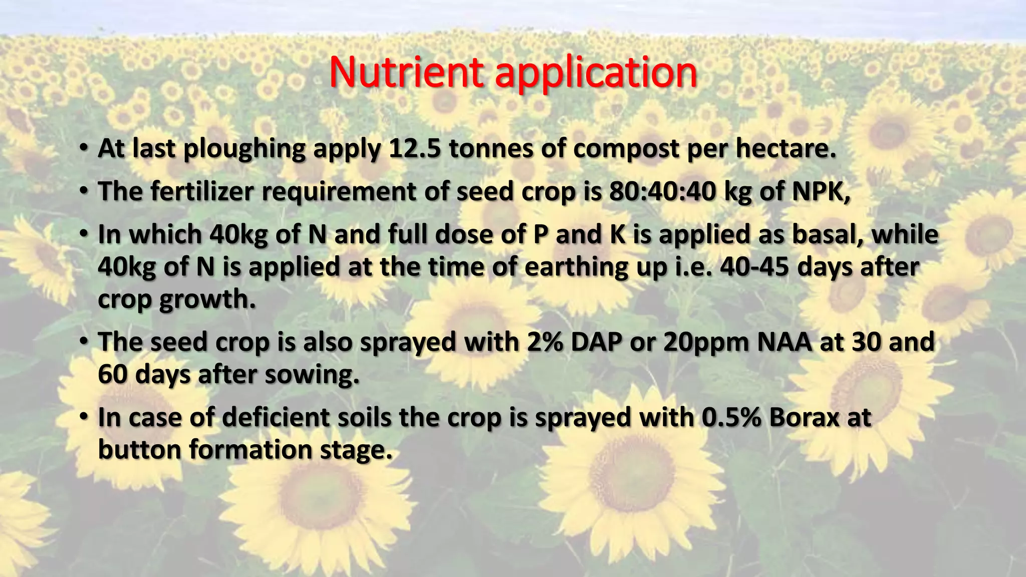 Sunflower seed production | PPT