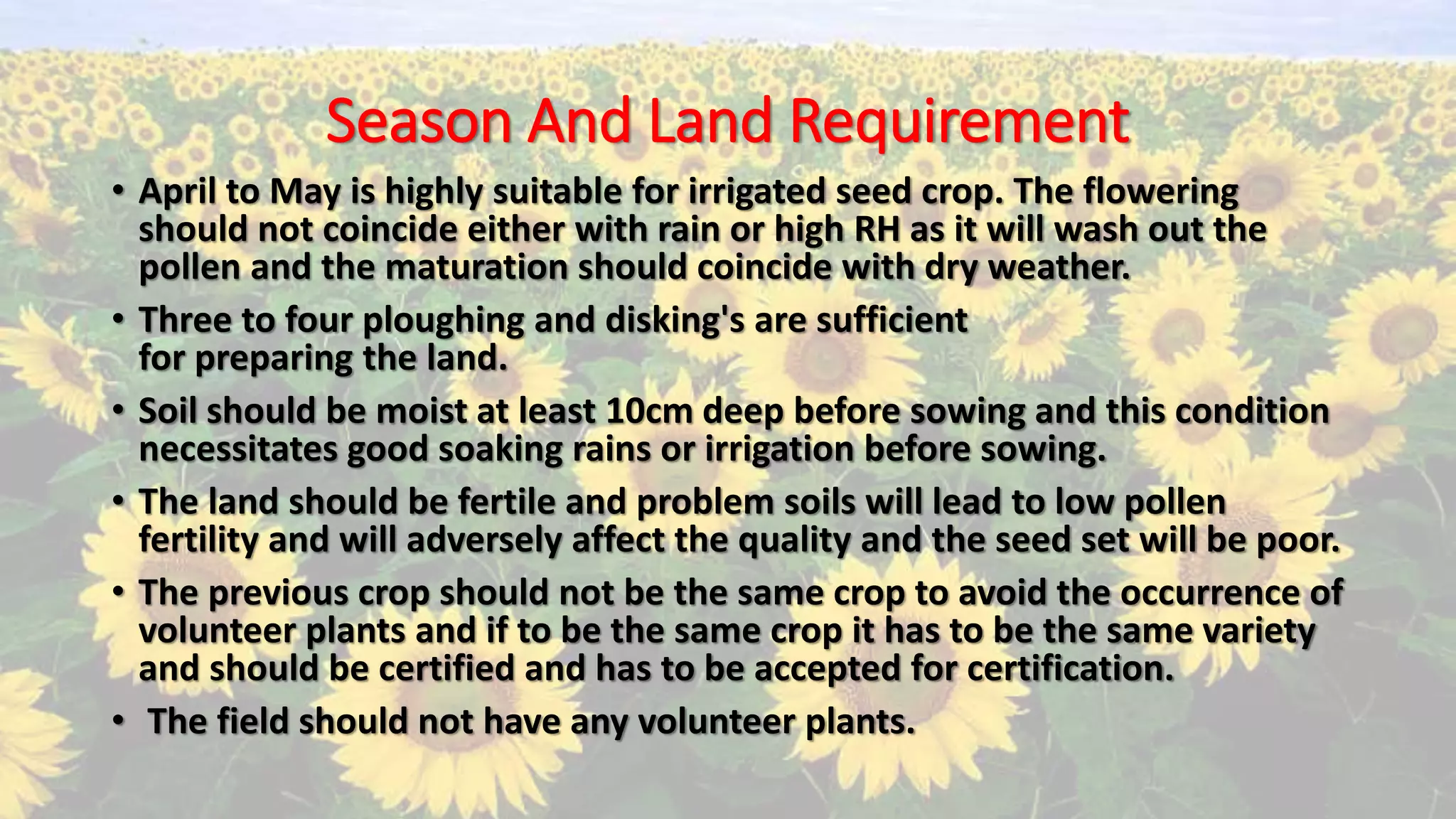 Sunflower seed production | PPT