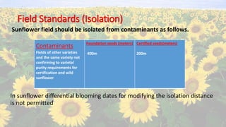 Sunflower seed production | PPT