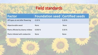 Sunflower seed production | PPT