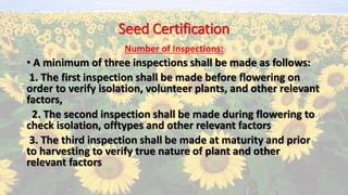 Sunflower seed production | PPT