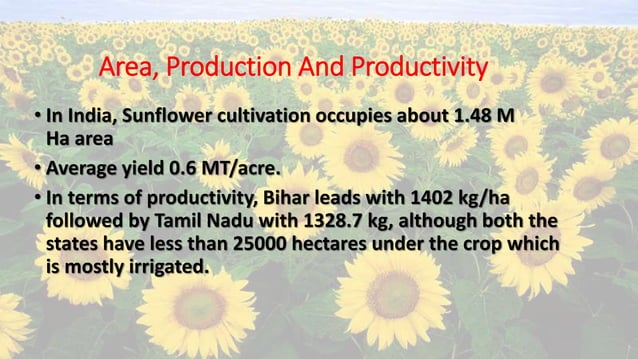 Sunflower seed production | PPT