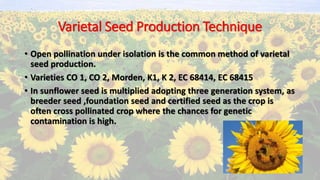 Sunflower seed production | PPT