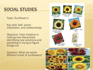 Sunflower’s presentation cd4 | PPT