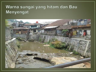 Sungai cikapundung | PPT