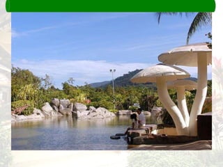 Sungkai hot springs park malaysia | PPT