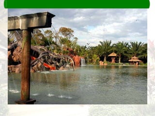 Sungkai hot springs park malaysia | PPT