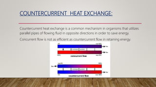 Thermoregulation | PPTX | Endocrine and Metabolic Diseases | Diseases ...