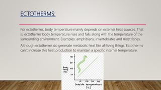 Thermoregulation | PPTX