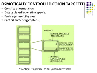Novel Drug Delivery System for colon | PPTX