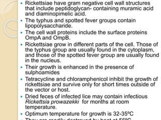 Rickketsiaece | PPT