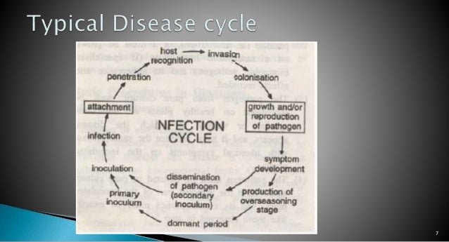 Plant disease cycle