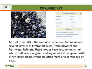 mussels.pptx