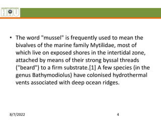 mussels.pptx