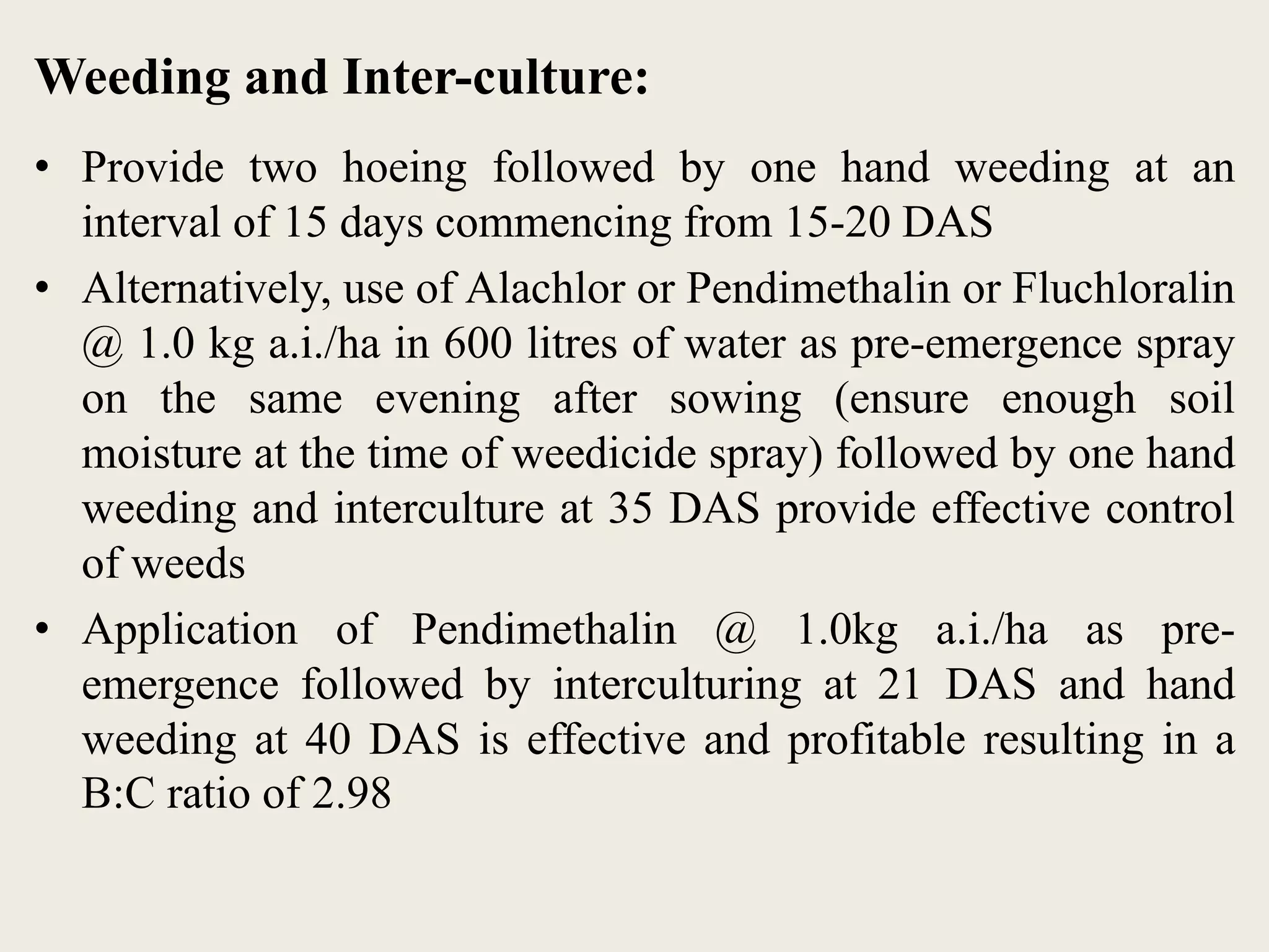 sunflower breeding technique | PPTX