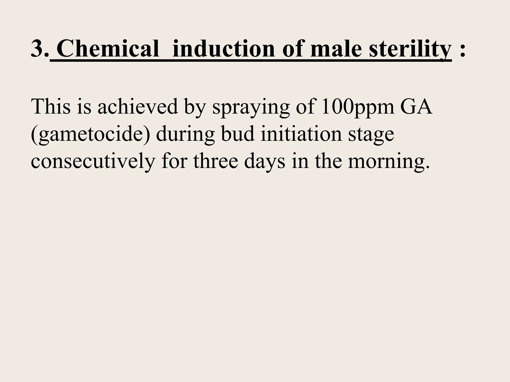 sunflower breeding technique | PPTX