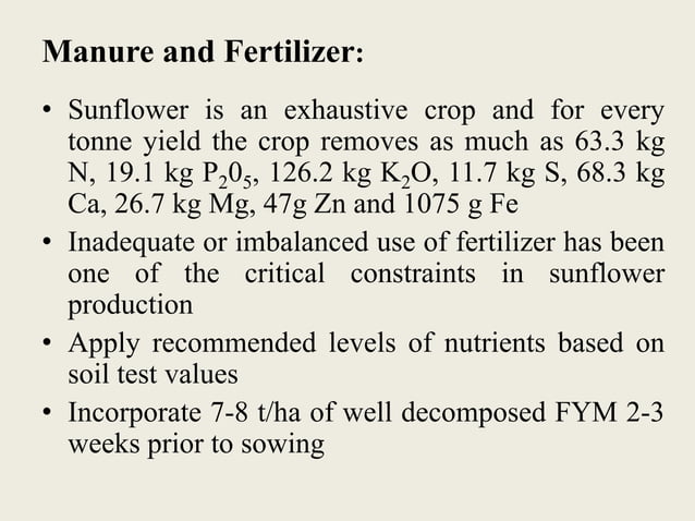 sunflower breeding technique | PPTX | Agriculture | Industries
