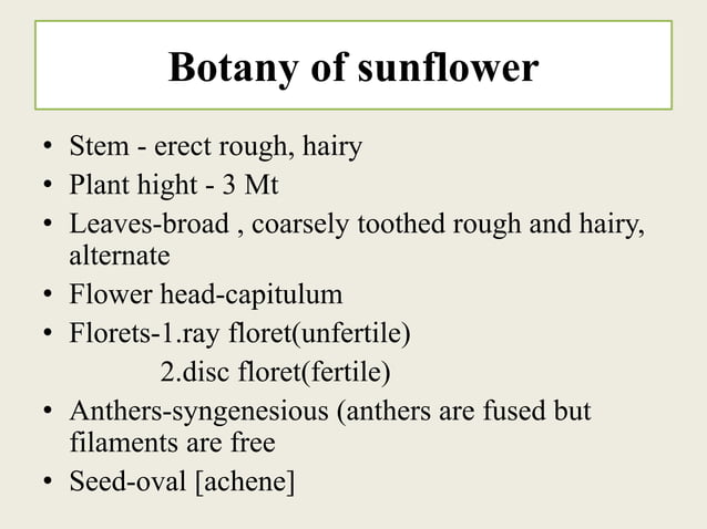 sunflower breeding technique | PPT