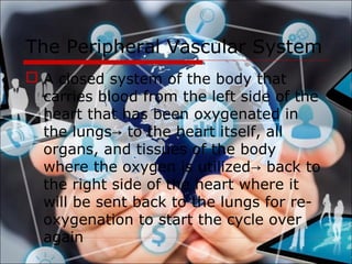 Peripheral Vascular Surgery - Sunil rayan md | PPT