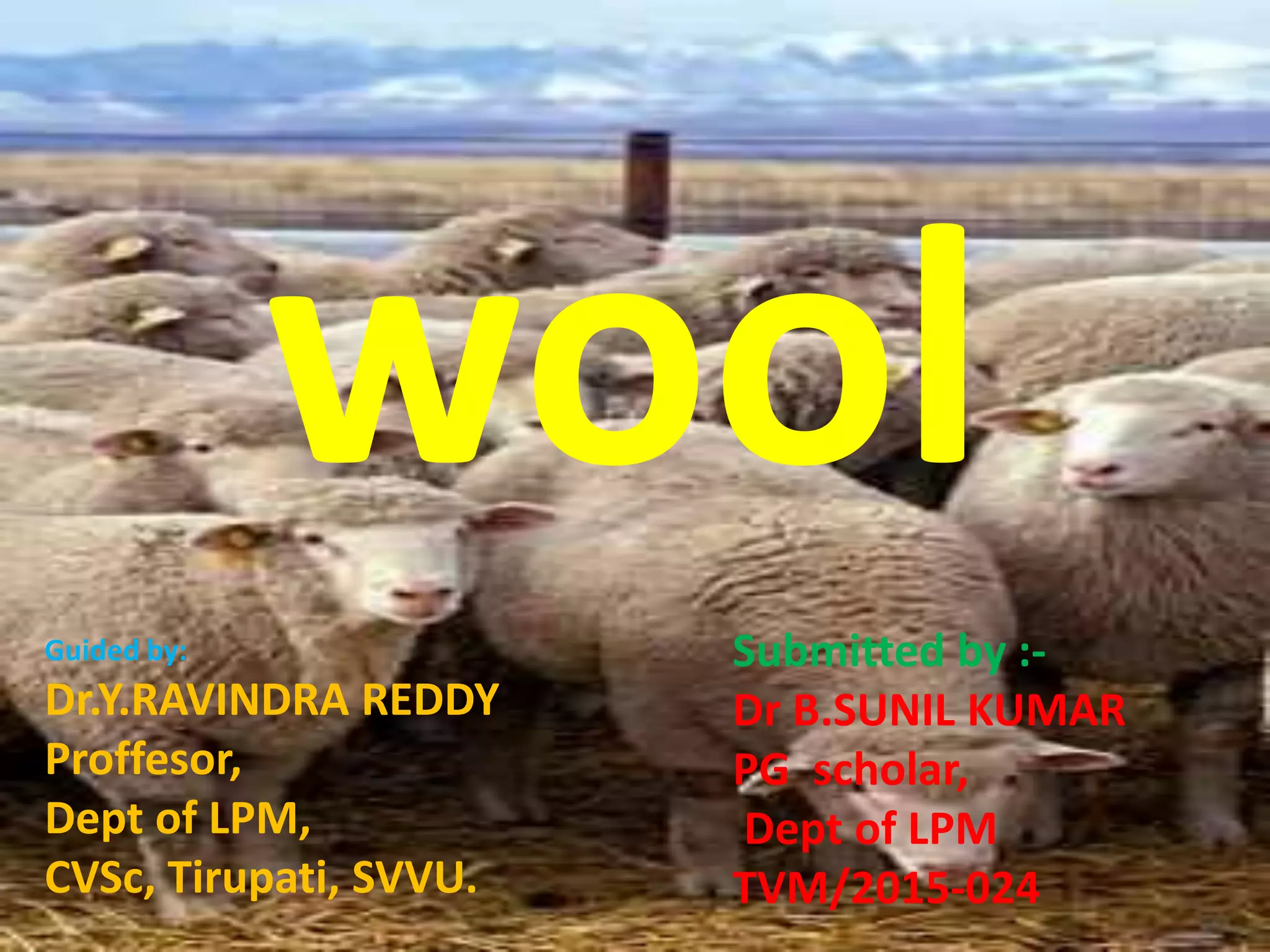 wool , wool v/s hair, grading of wool by Dr Sunil Kumar B | PPTX