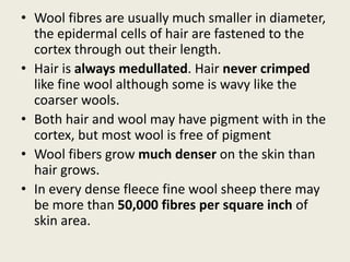 wool , wool v/s hair, grading of wool by Dr Sunil Kumar B | PPTX