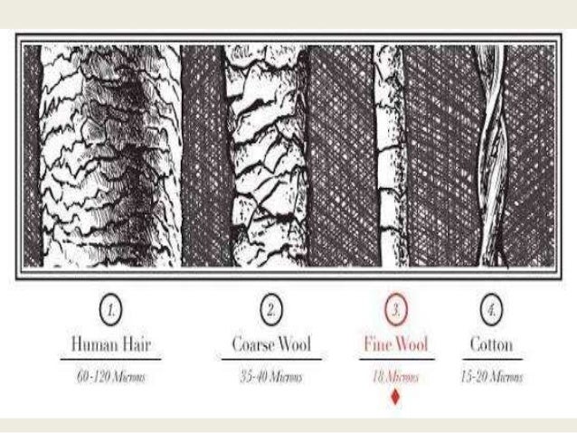 wool , wool v/s hair, grading of wool by Dr Sunil Kumar B