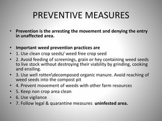 Important weed flora and weed management strategies in upland rice | PPTX