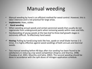 Important weed flora and weed management strategies in upland rice | PPTX