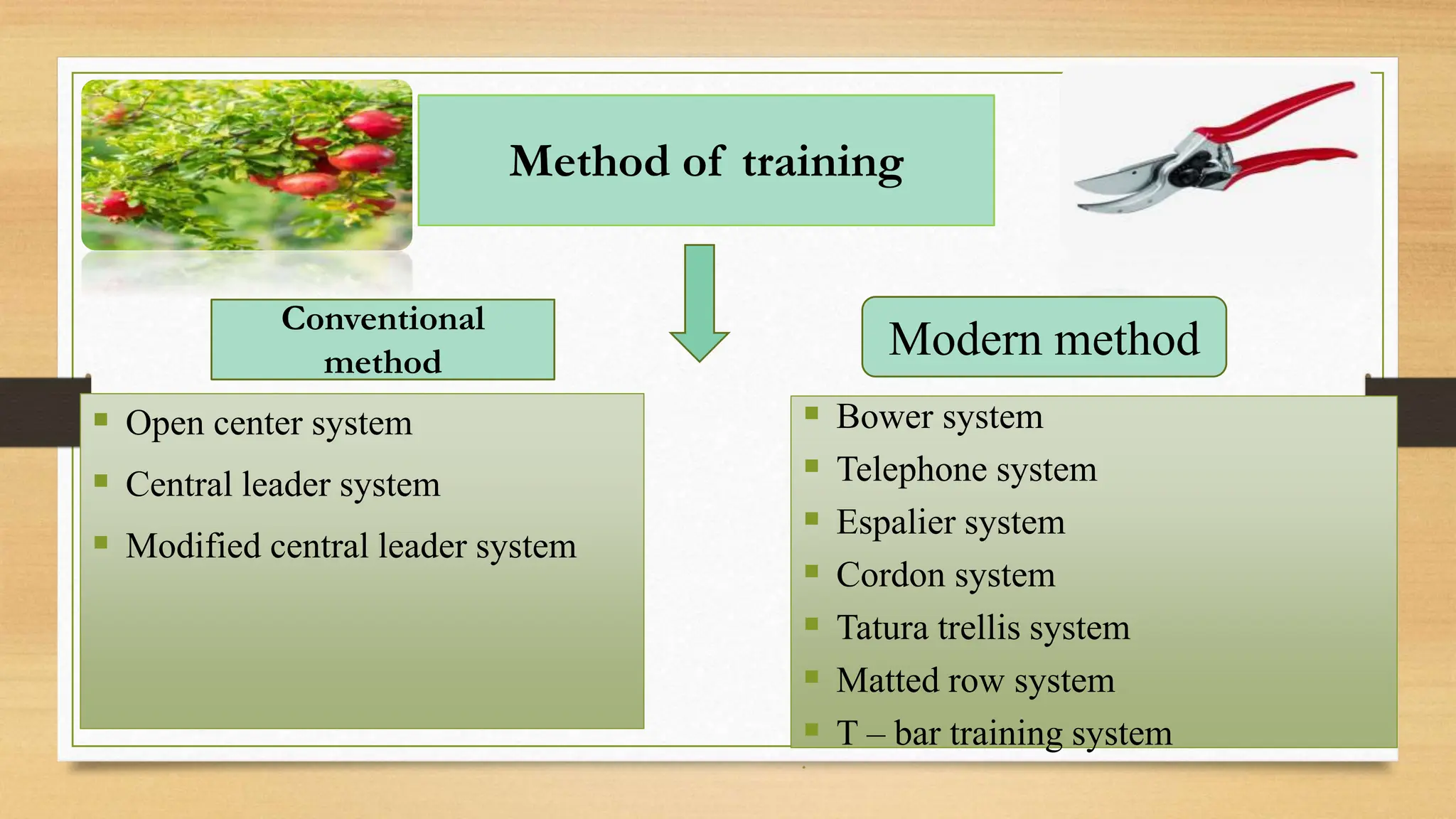 EFFECT OF DIFFERENT CANOPY TYPE ON PRODUCTION AND QUALITY OF FRUIT ...