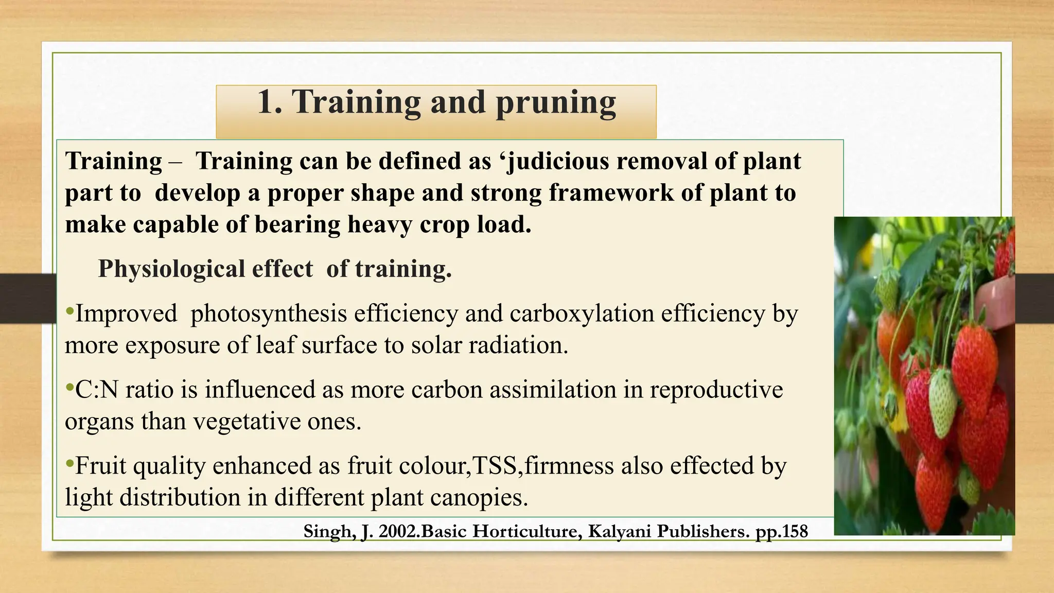 EFFECT OF DIFFERENT CANOPY TYPE ON PRODUCTION AND QUALITY OF FRUIT ...