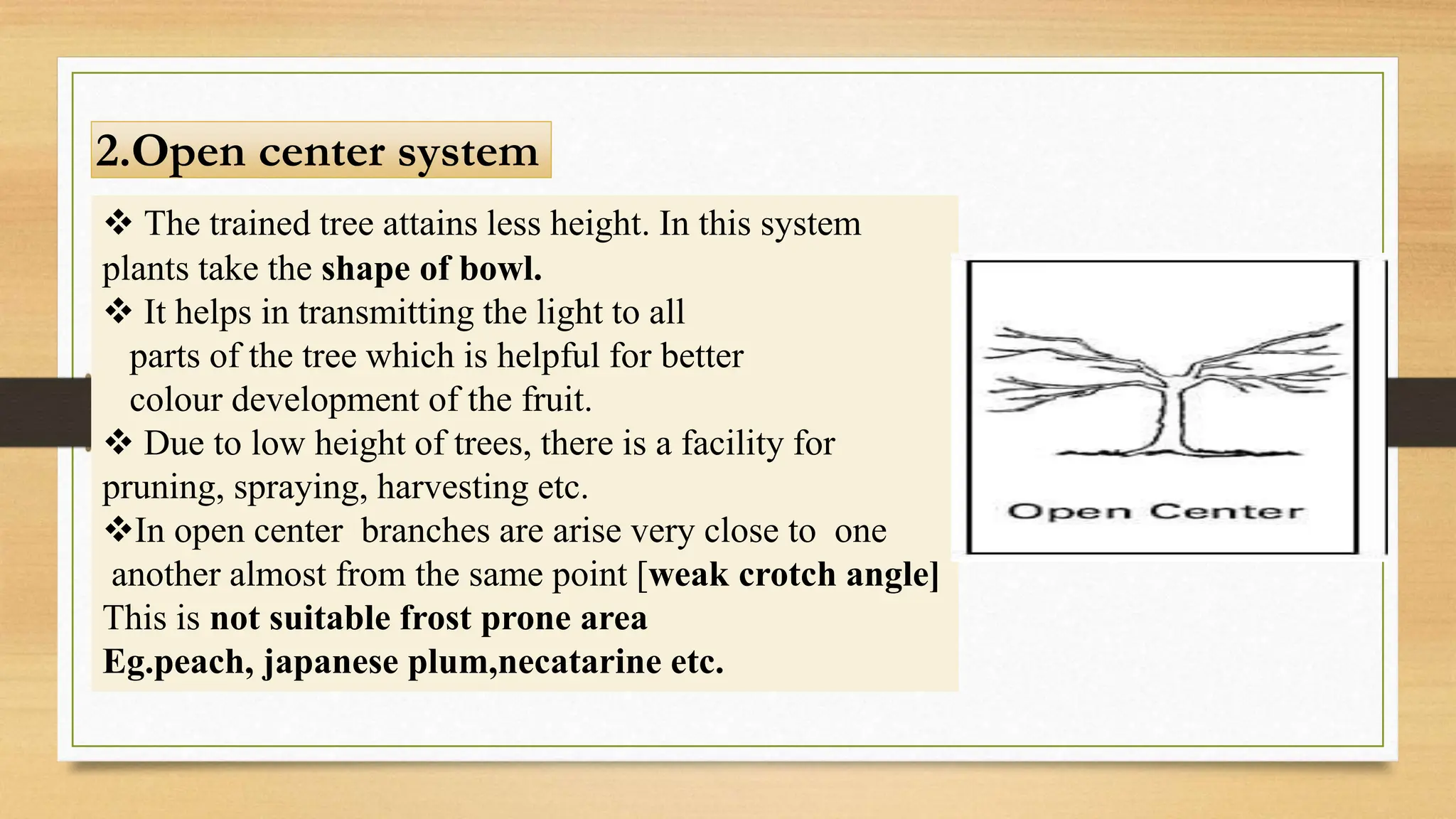 EFFECT OF DIFFERENT CANOPY TYPE ON PRODUCTION AND QUALITY OF FRUIT ...