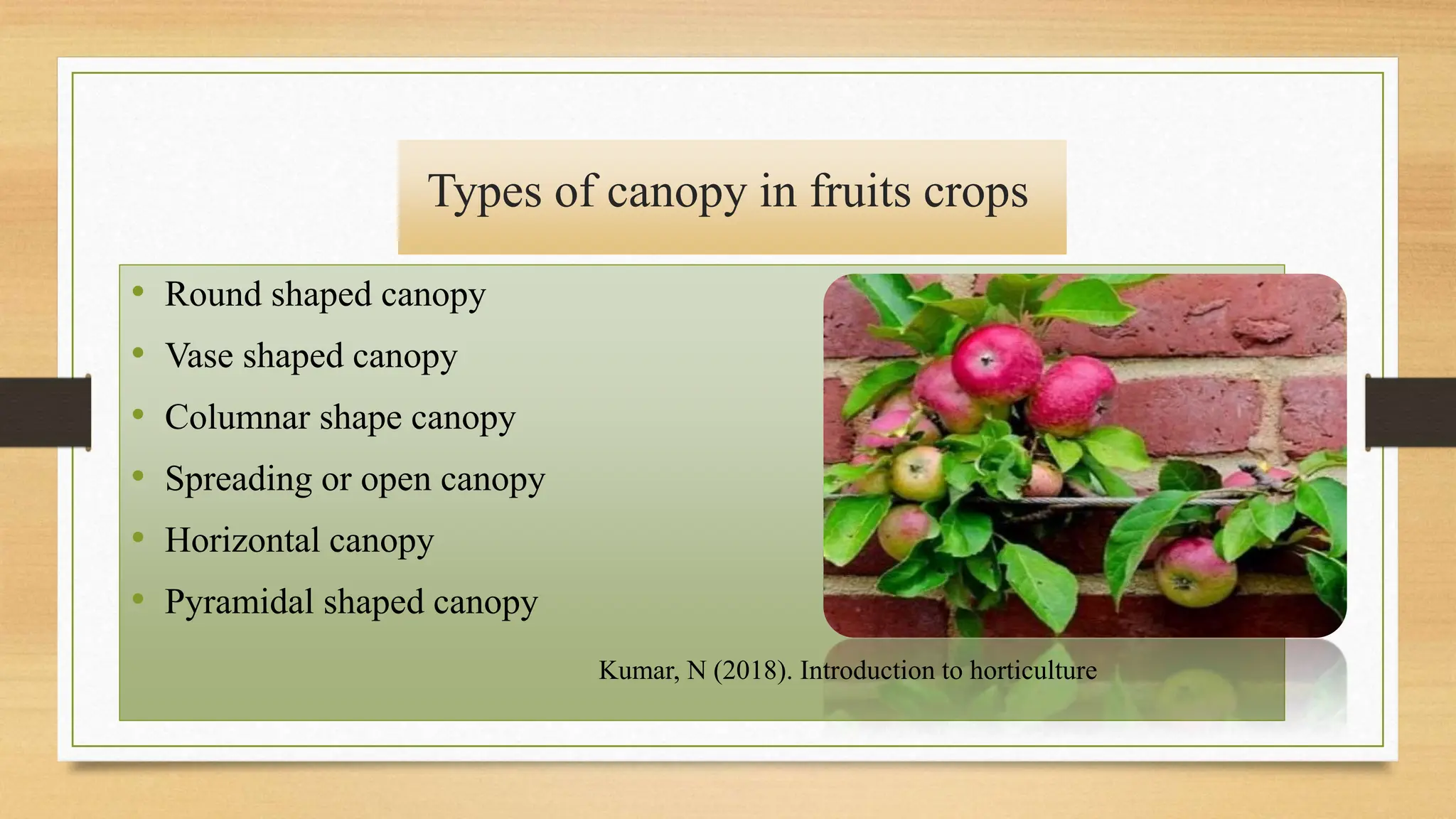 EFFECT OF DIFFERENT CANOPY TYPE ON PRODUCTION AND QUALITY OF FRUIT ...