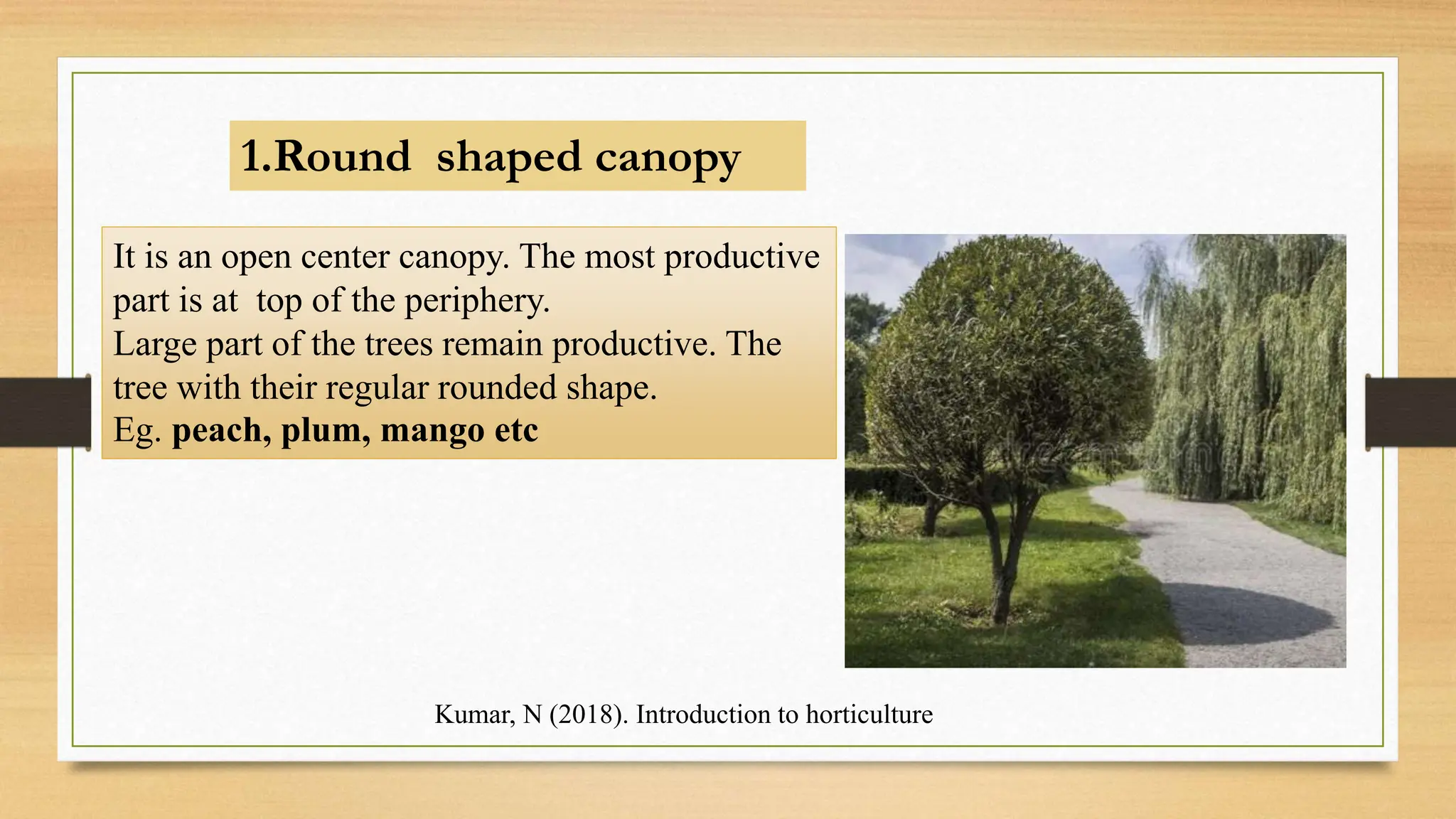 EFFECT OF DIFFERENT CANOPY TYPE ON PRODUCTION AND QUALITY OF FRUIT ...