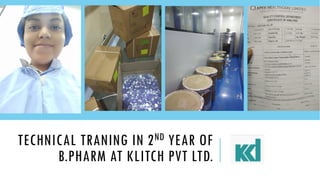 B.Pharm Technical Internship | PDF
