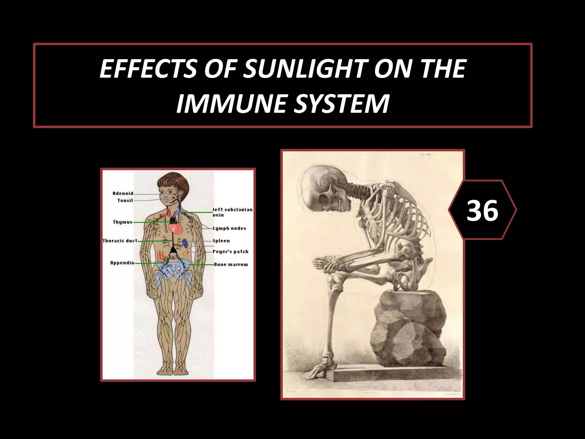 Health Benefits of Sunlight 3 | PPTX