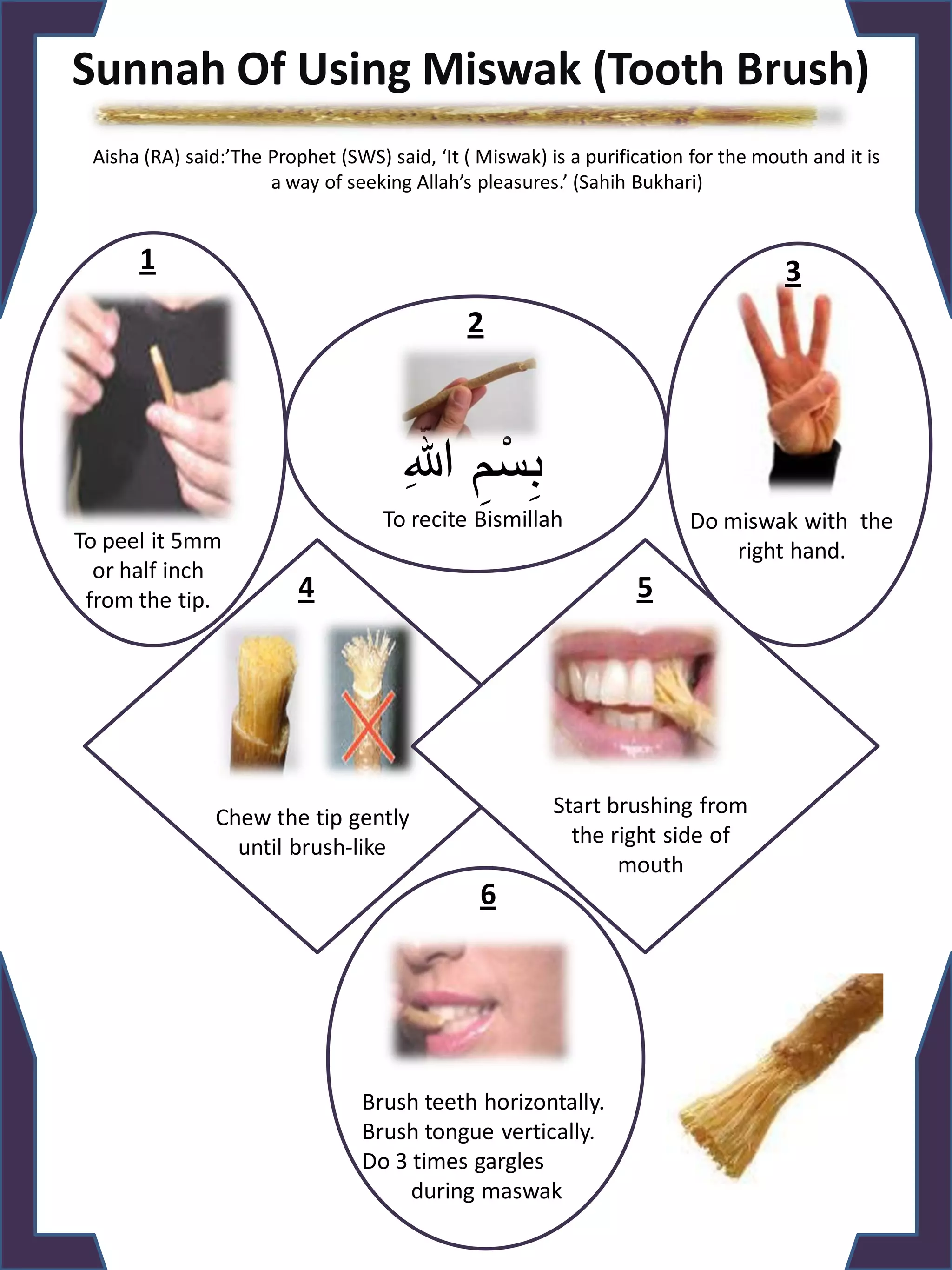 Sunnah of Prophet Muhammad(SWS) | PDF