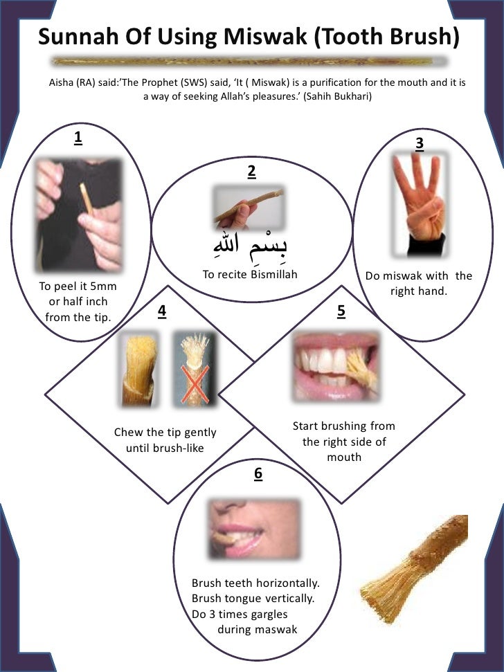 Sunnah of Prophet Muhammad(SWS)
