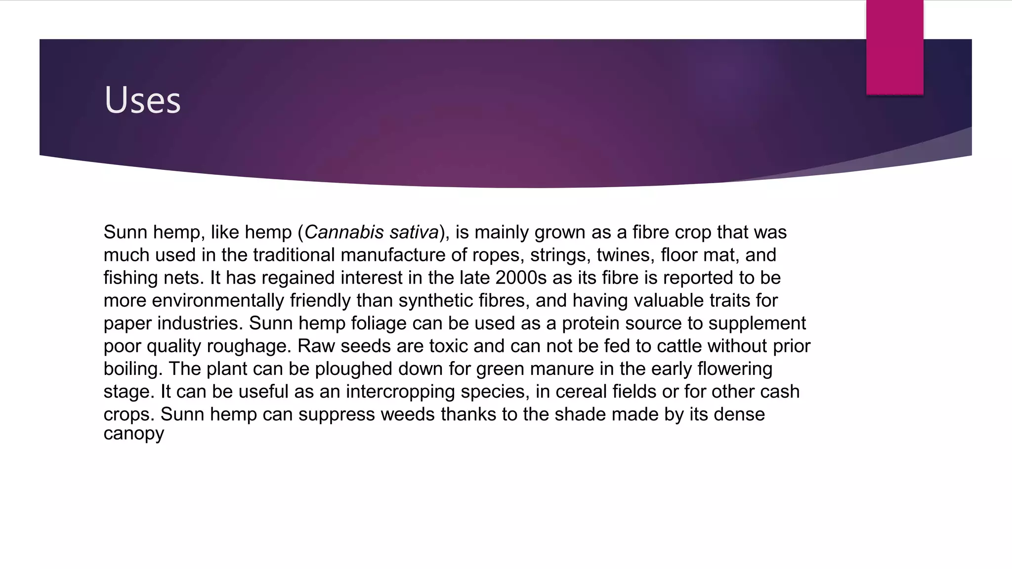 Sunn hemp | PPTX