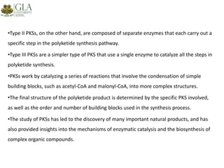 sunny field project.pptx