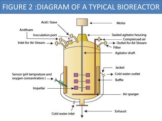 Design and construction of Fermenters and,Bioreactors | PPTX