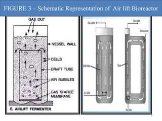 Design and construction of Fermenters and,Bioreactors | PPTX