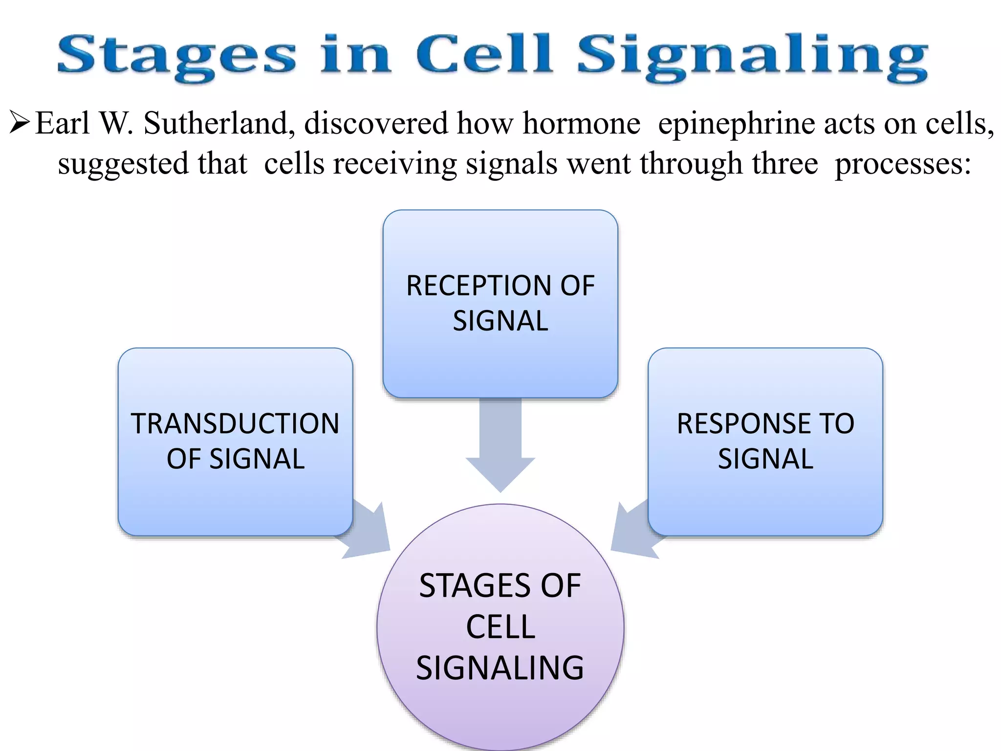 CELL SIGNALING AND PATHWAYS INVOLVED IN CELL SIGNALING AND SOLID TUMORS ...