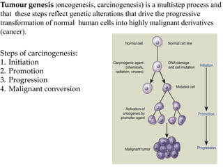 CELL SIGNALING AND PATHWAYS INVOLVED IN CELL SIGNALING AND SOLID TUMORS ...