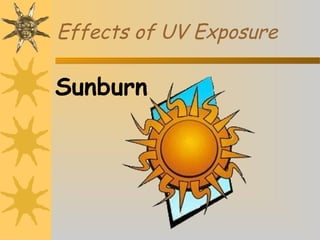Sun Safety | PPT