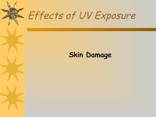 Sun Safety | PPT