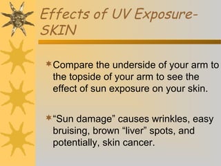 Sun Safety | PPT