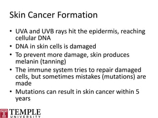 Sun Safety and Skin Cancer Prevention.pdf
