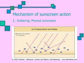 sunscreen-best.ppt